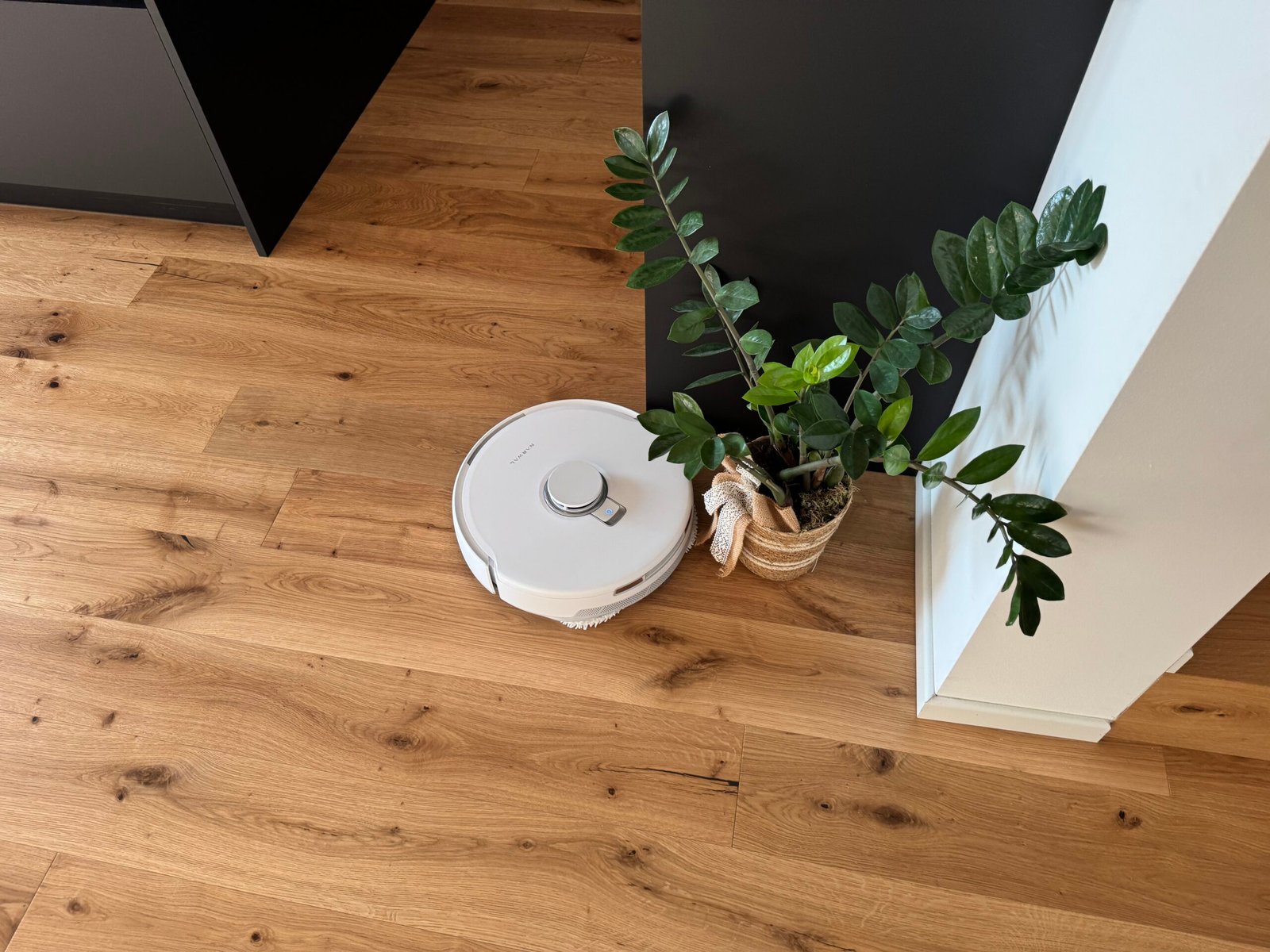 Come configurare ed installare Amazon Alexa ed Echo Dot